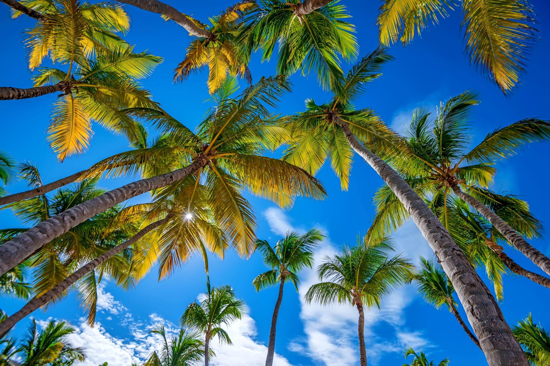 Paradise Found RV Park and Campground Near Mobile Alabama